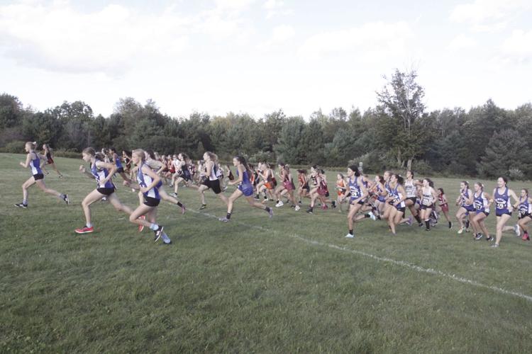More lower times as Robins run at Witt-Birn Invite | Sports ...