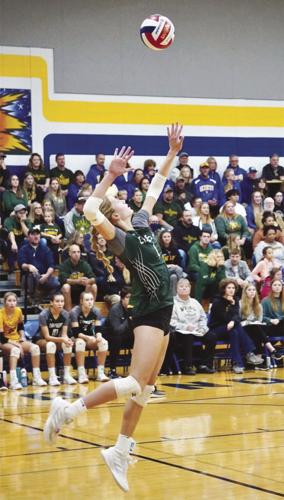 Witt-Birn's outstanding season ends with sectional defeat | Sports ...