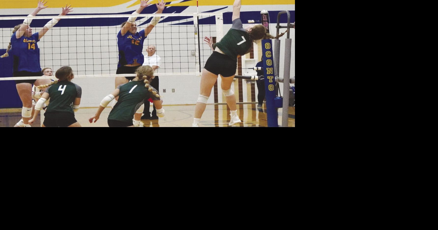 Witt-Birn's outstanding season ends with sectional defeat | Sports ...