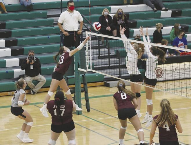 Aulik, fellow seniors lead Red Robin volleyball to 3-0 win at ...