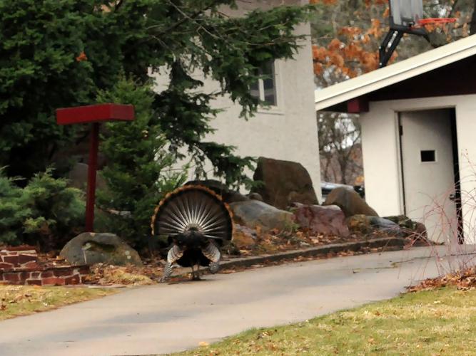 Durkin: Year-end photo review helps keep memories alive | Outdoors ...