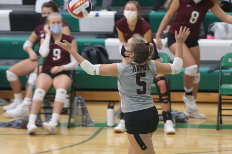 Aulik, fellow seniors lead Red Robin volleyball to 3-0 win at ...