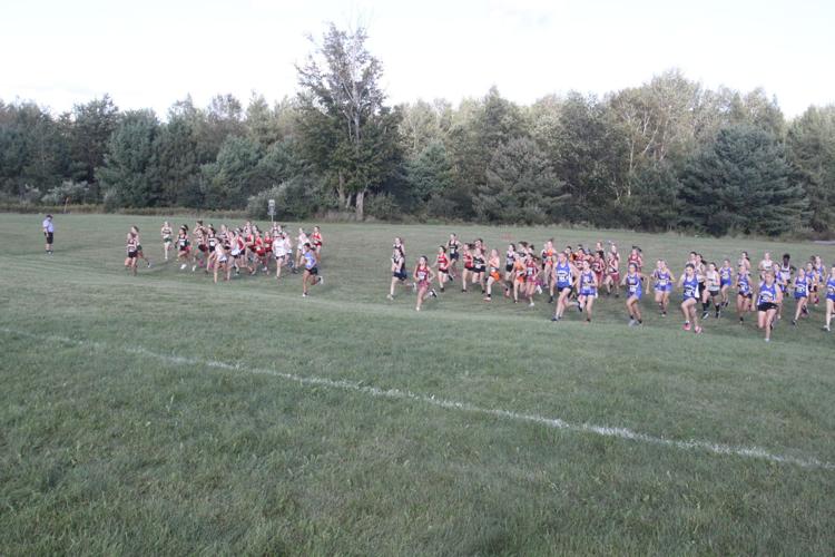 More lower times as Robins run at Witt-Birn Invite | Sports ...