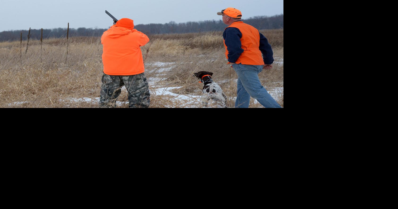 Patrick Durkin: Grouse, pheasant numbers strong in Wisconsin’s top ...