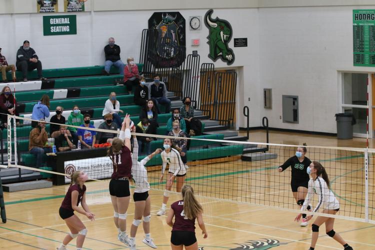 Aulik, fellow seniors lead Red Robin volleyball to 3-0 win at ...