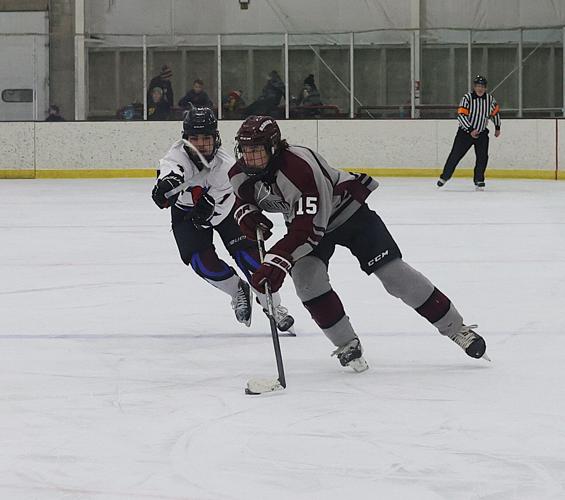 Robins celebrate Senior Night with 10-2 GNC tourney win over Hodags ...