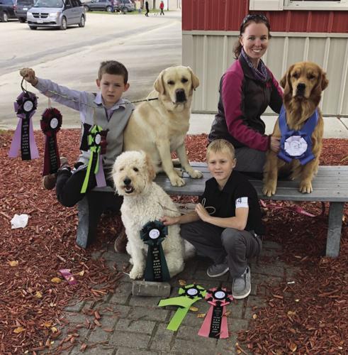 Langlade County dog handlers compete in state 4-H dog show | Local News ...