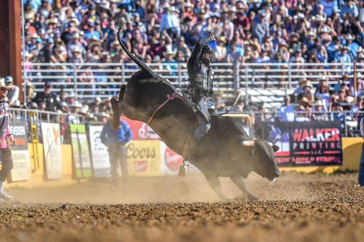 Corning bull rider wins big at Round-Up, record set by bronc rider ...