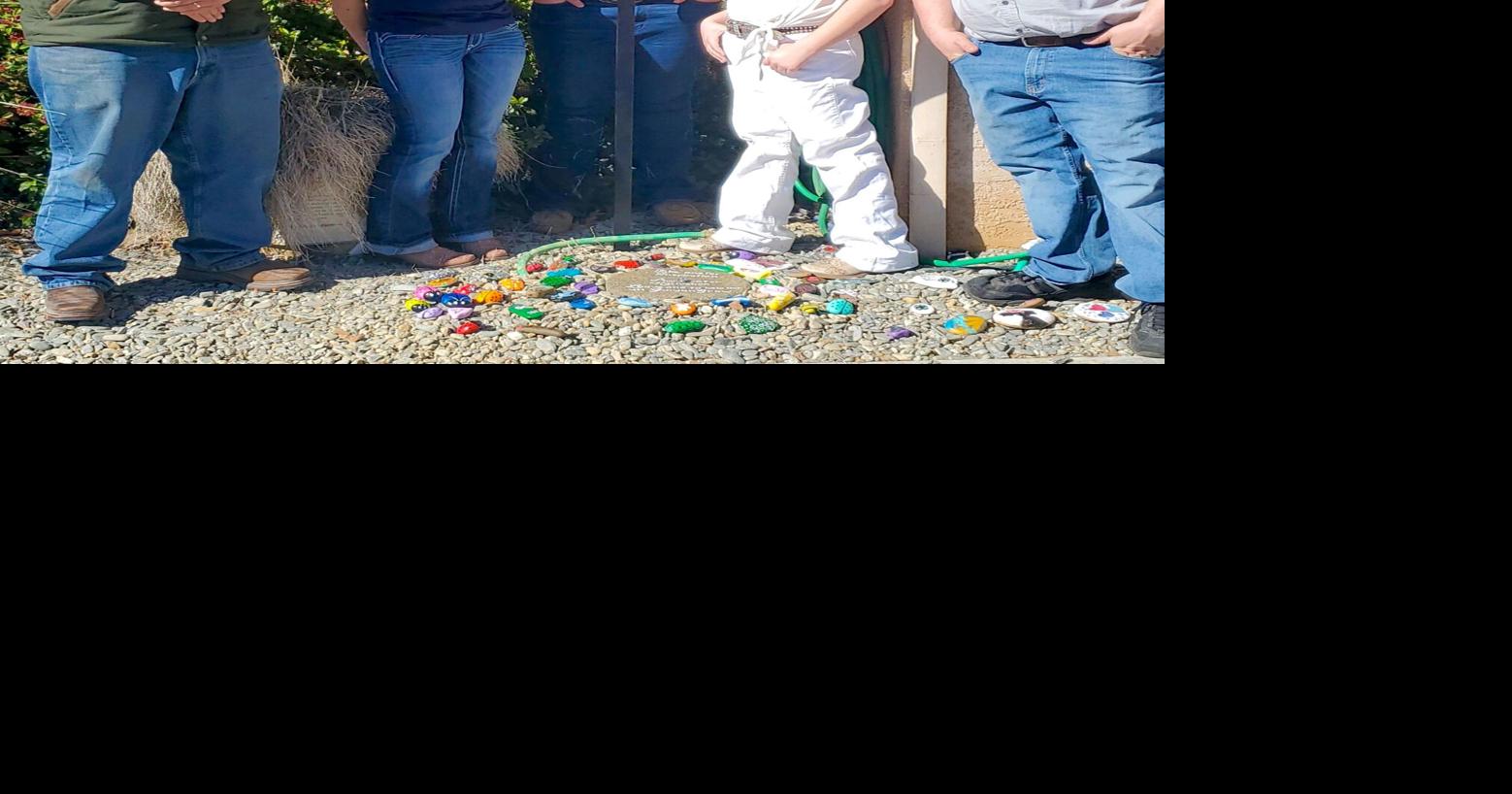 Tehama County 4-H Rocks | Corning Observer | appeal-democrat.com