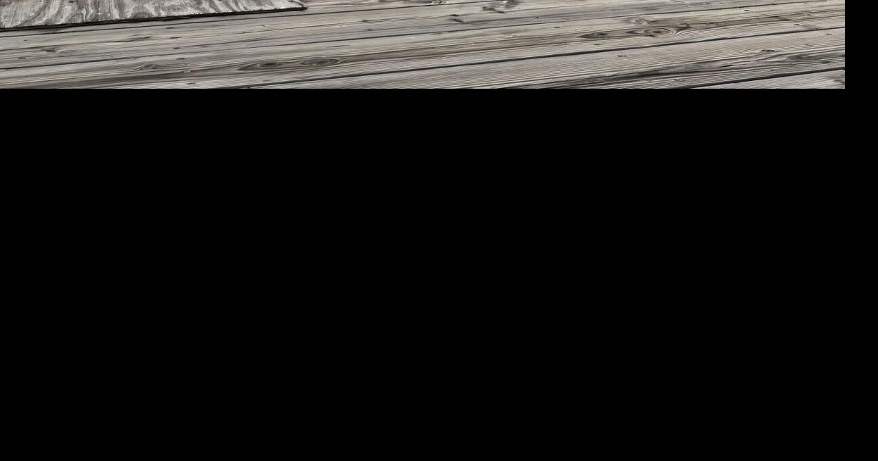 Camp Singer youth win best in show in build contest | News | appeal ...