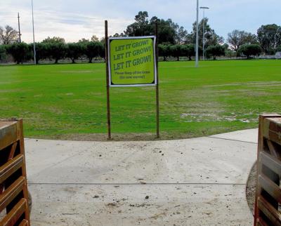 Corning Community Park nearing completion | Corning Observer | appeal ...