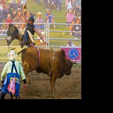 81st annual Marysville Stampede kicks off | Sports | appeal-democrat.com