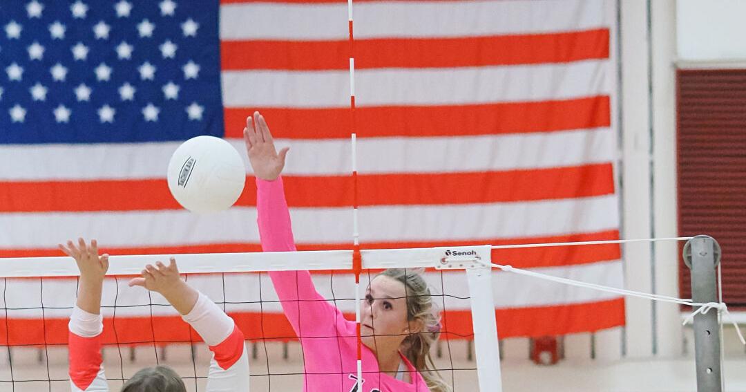 Four years running: Hoffman earned another section honor; named media ...