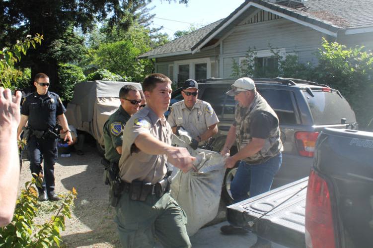 Bear takes a stroll around Colusa; animal is safely removed without ...