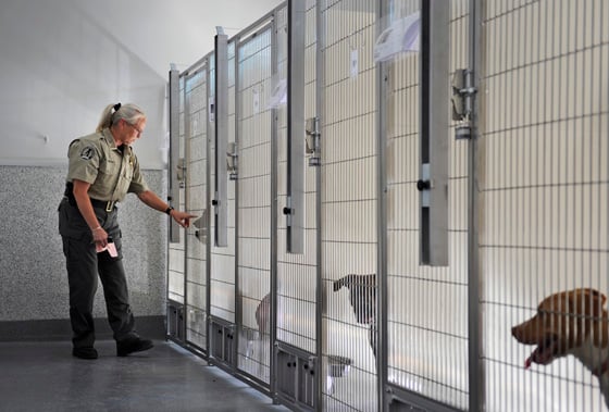 Rough journey to open Sutter animal shelter | Local News | appeal ...