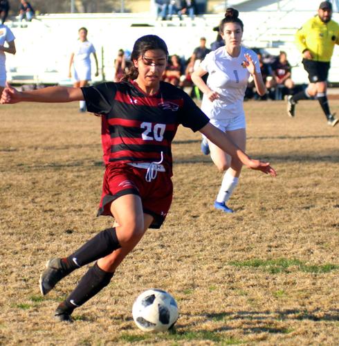 SOCCER: Colusa, Williams boys see success | Colusa Sun Herald | appeal ...