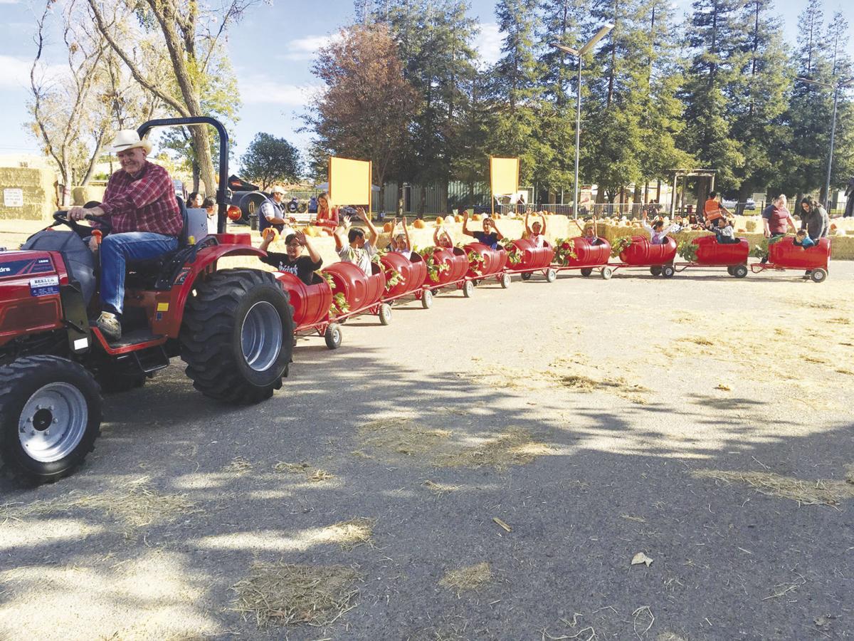 Pumpkin Village returns to the Colusa County Fairgrounds | Colusa Sun ...
