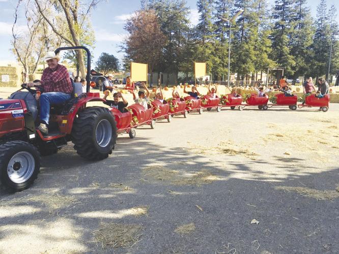 Pumpkin Village returns to the Colusa County Fairgrounds | Colusa Sun ...