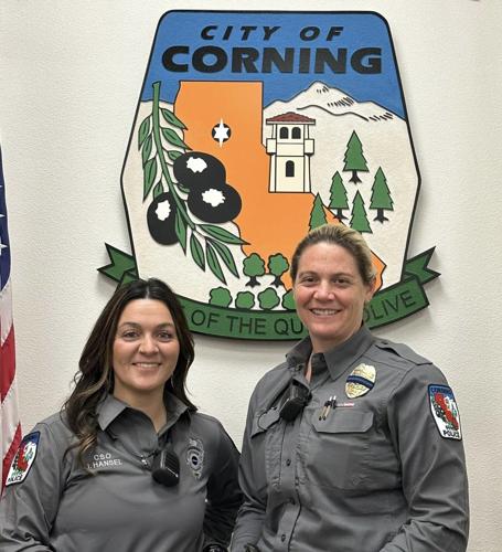 Corning welcomes new community service officer to its ranks | Corning ...