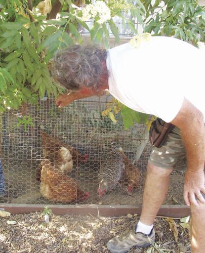 Inmate farm provides food and more in Red Bluff | Corning Observer ...