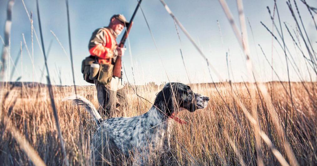 CDFW offers Californians two free hunting days | Corning Observer ...