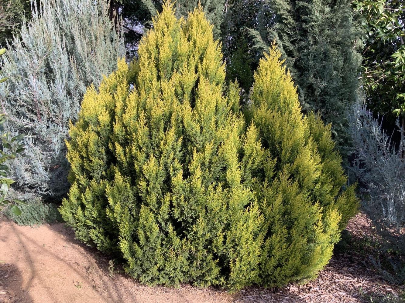 Colusa Sun Herald | appeal-democrat.com