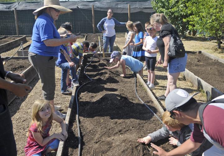 First-graders from Kynoch learn about farming | News | appeal-democrat.com