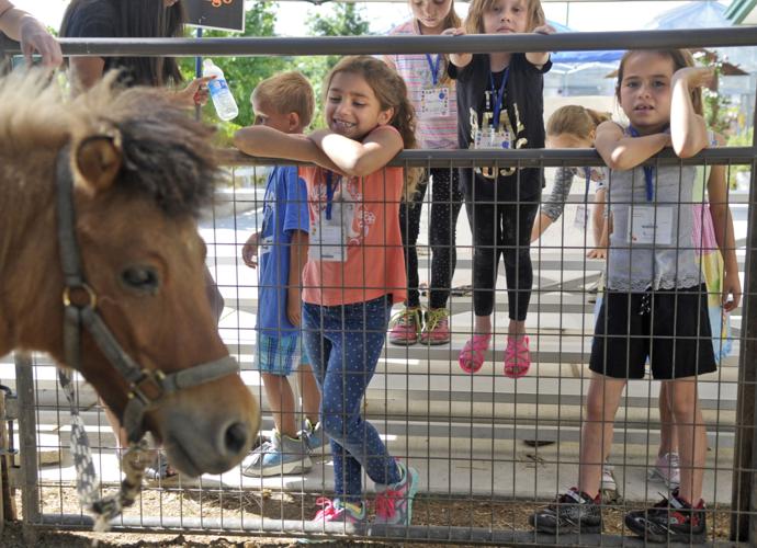First-graders from Kynoch learn about farming | News | appeal-democrat.com