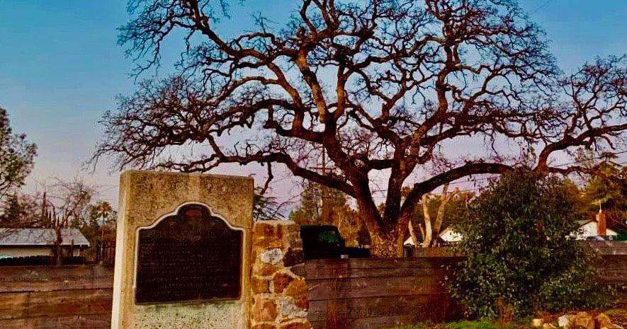 Ishi’s story still haunts the Valley and beyond | News | appeal ...