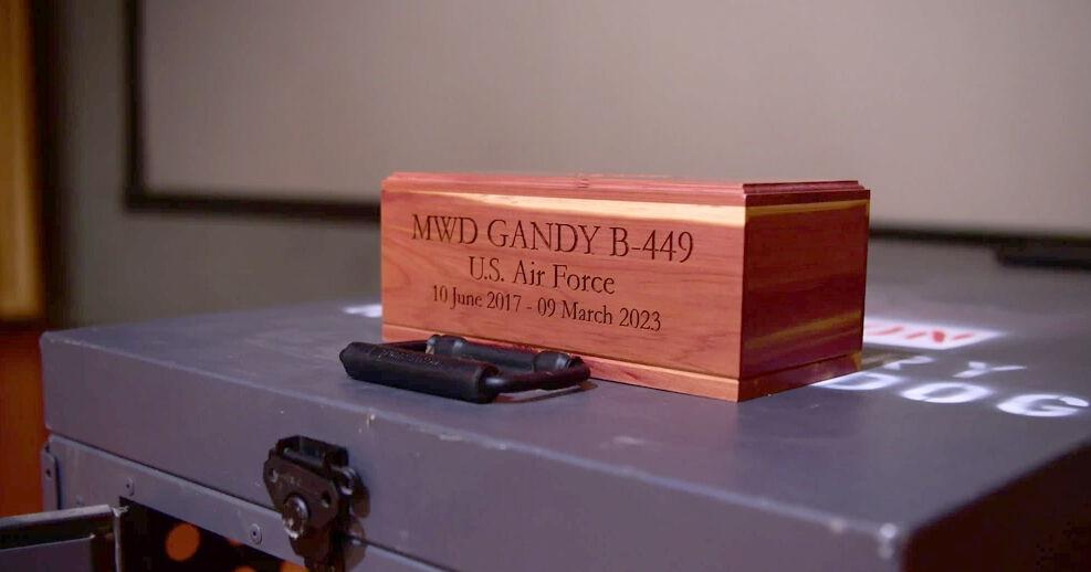 Beale squadron holds ceremony for dog’s life cut short | News | appeal ...