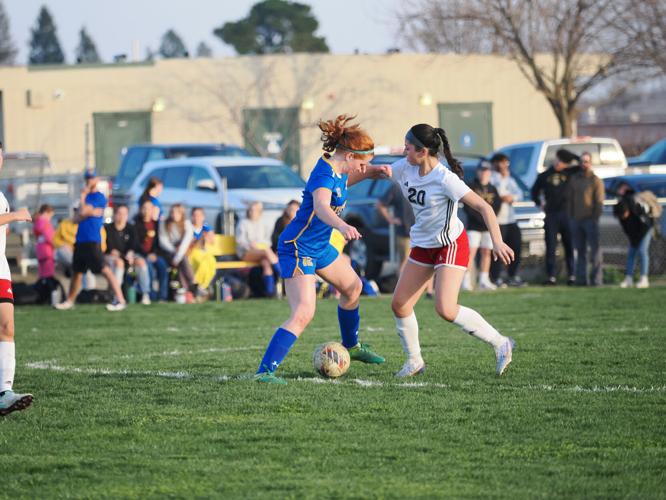 Sutter enters as two-seed; Wheatland leads boys at six: Lindhurst boys ...