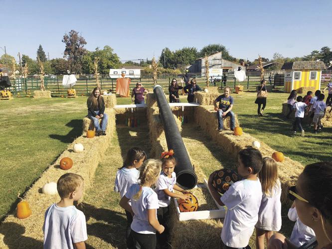 Pumpkin Village returns to the Colusa County Fairgrounds | Colusa Sun ...