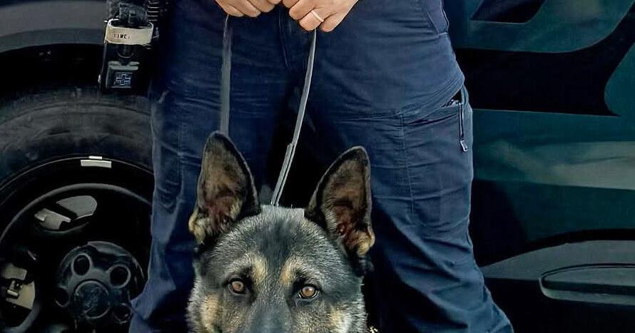 Corning K9 Ghost Gets Vested | Corning Observer | appeal-democrat.com