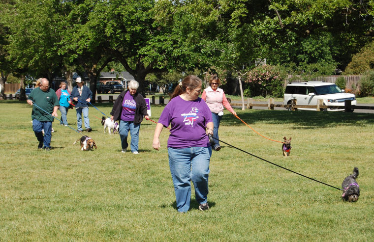 Bark for Life raises money for cancer research | Glenn County ...
