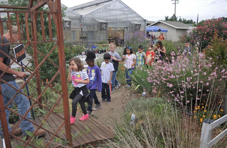 Up close and personal with agriculture | News | appeal-democrat.com