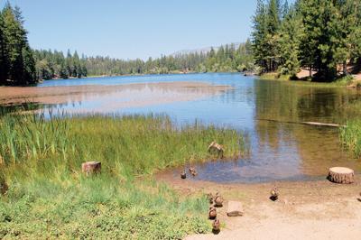 Letts Lake campground reopens after fire | News | appeal-democrat.com