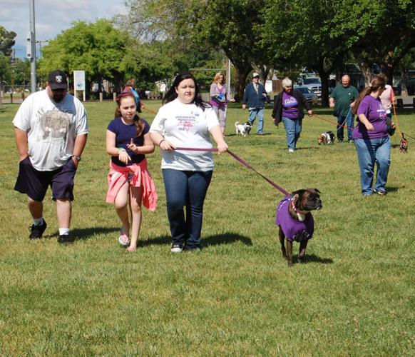 Bark for Life raises money for cancer research | Glenn County ...