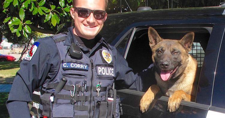 Corning looks to reignite its police canine program | Corning Observer ...
