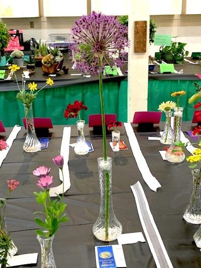 Every Blooming Thing - Flower Show School here in Red Bluff | Corning ...