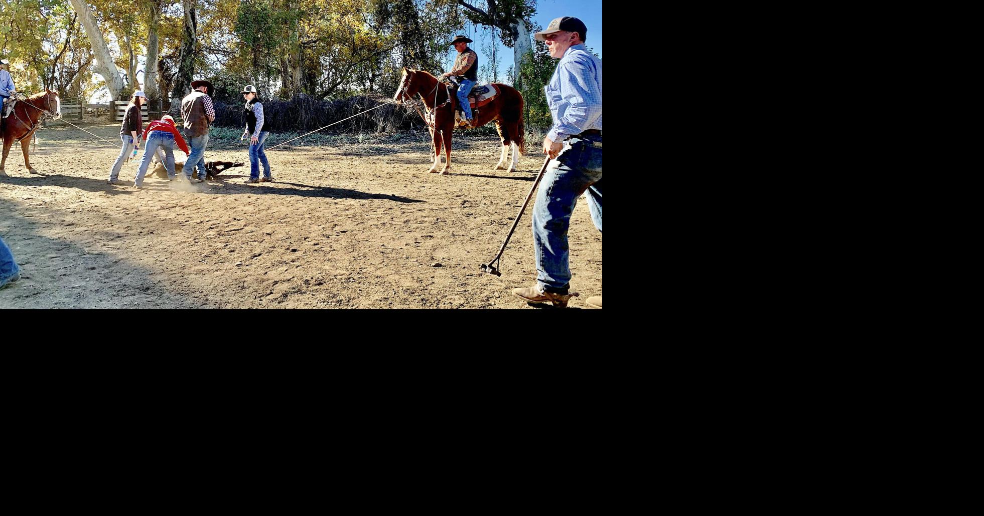 Cattle Corner - Beef Steaks with Tangy Corn Relish from Beef, It's What ...