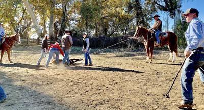 Cattle Corner - Beef Steaks with Tangy Corn Relish from Beef, It's What ...