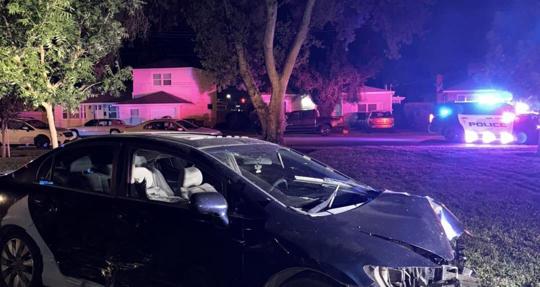 Yuba City police K-9, Rook, catches suspect who hit a fire hydrant at ...