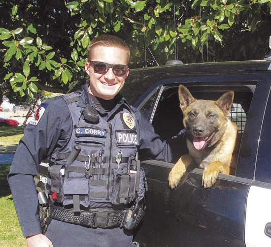 Corning police K-9 Blaze hits the street running | Corning Observer ...