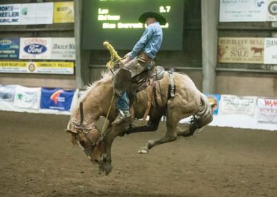 Ranch Rodeo offers working ranch cowboy action | Corning Observer ...