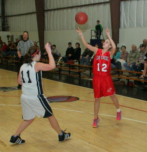 Bill's heroics shoot Lady Elks past Lions | Sports | appeal-democrat.com