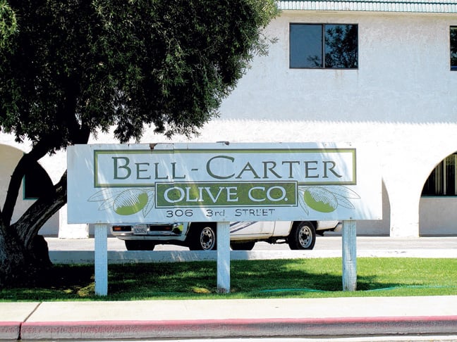 Looking back at a century of evolution at Bell-Carter | News | appeal ...