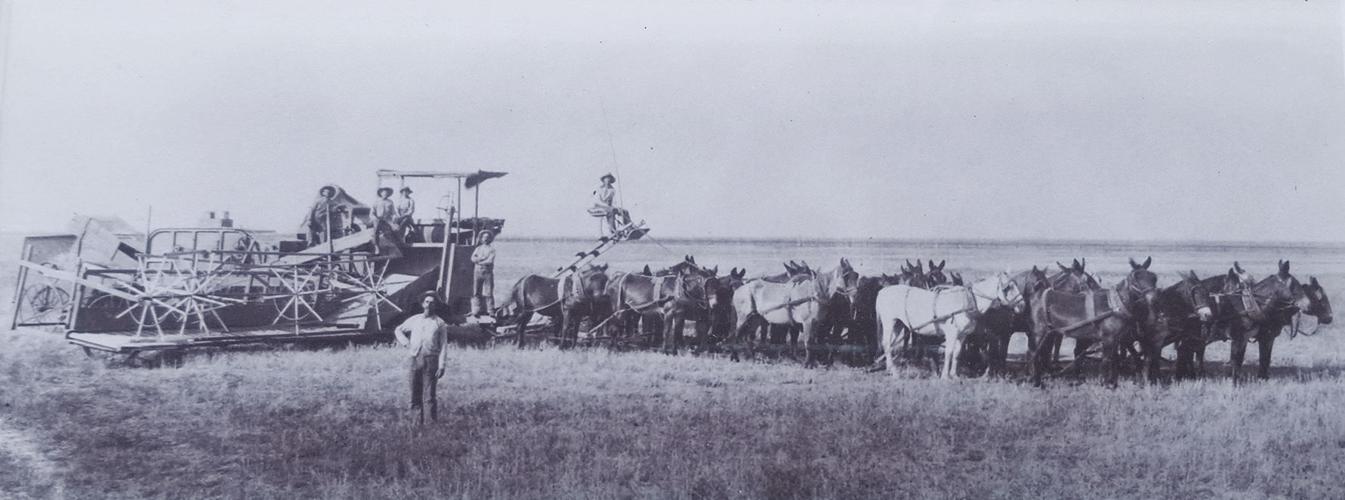 100th rice harvest | Glenn County Transcript | appeal-democrat.com