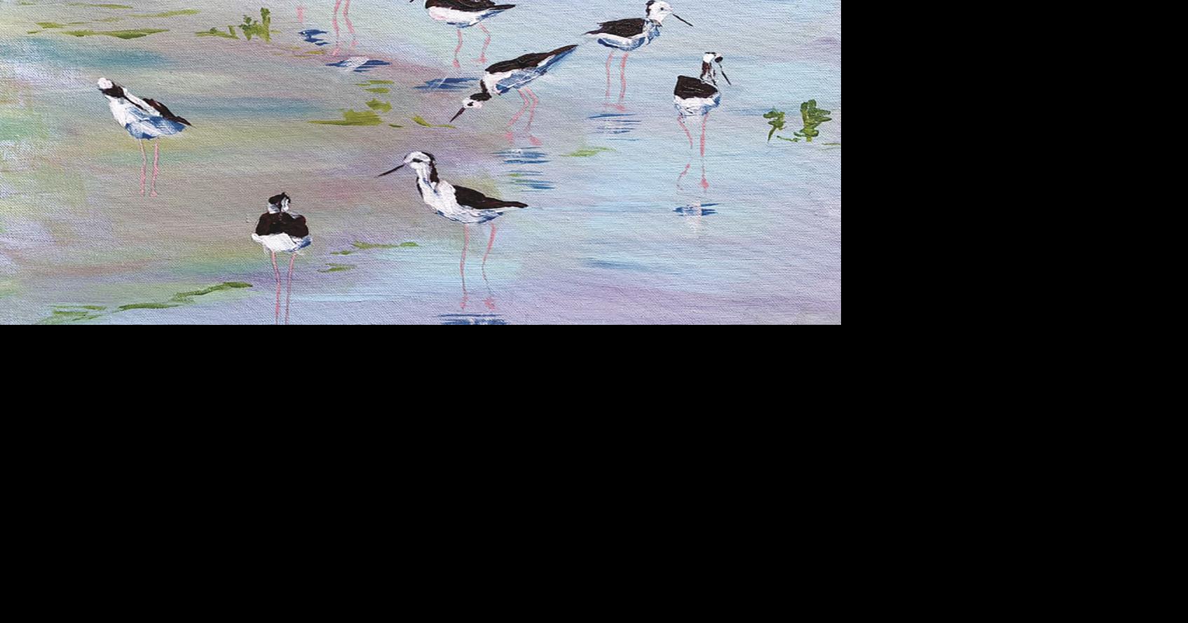 100 Birds | Spotlight | appeal-democrat.com