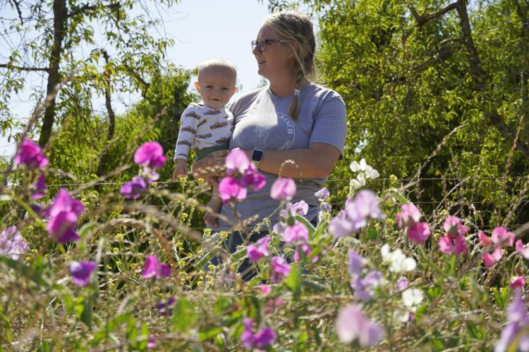Flowers and family at Red Maple Ranch | Features | appeal-democrat.com