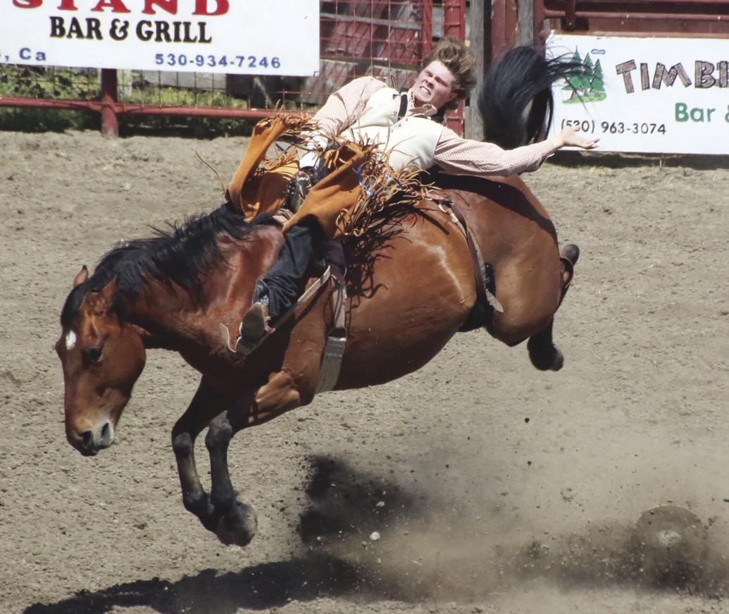 Stonyford Rodeo returns Friday | Colusa Sun Herald | appeal-democrat.com